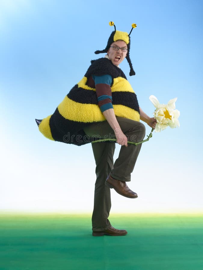 Angry Bee stock photo. Image of flower, costume, profile - 13174442