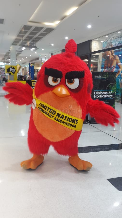 Angry bird editorial stock photo. Image of feathers, crazy - 73899758