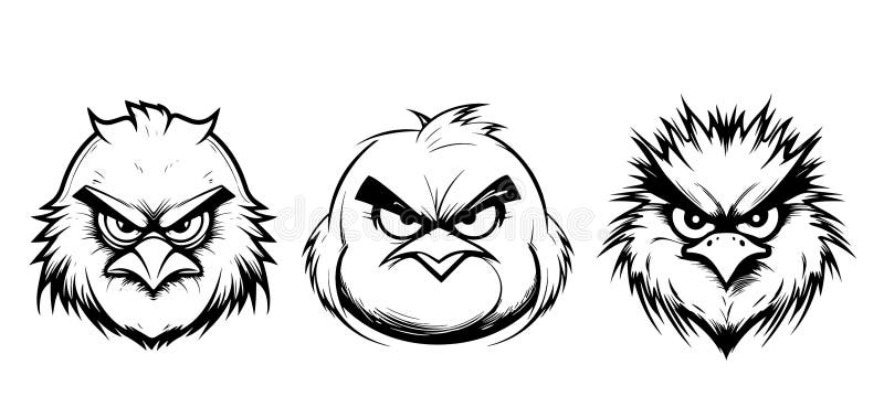 Angry Bird Drawing Book