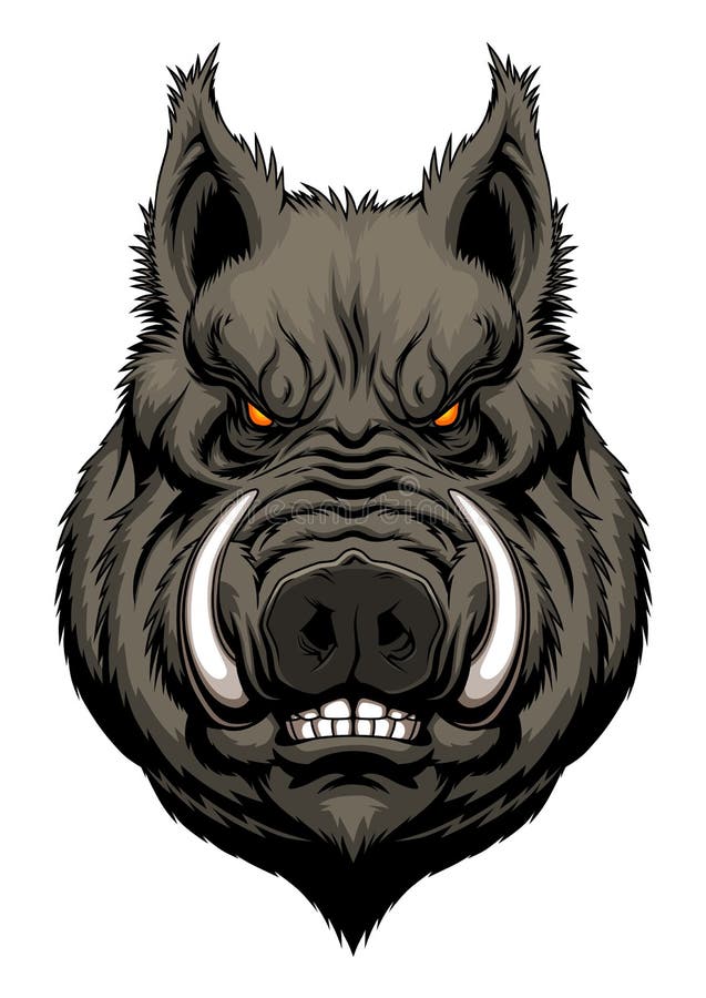 Wild Hog Head Drawings