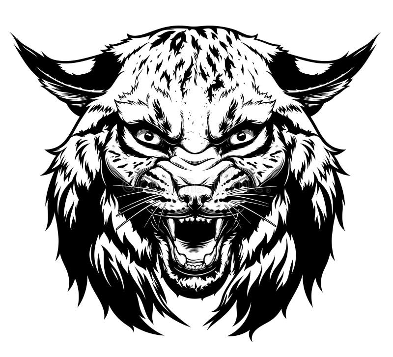 Bobcat Stock Illustrations – 2,174 Bobcat Stock Illustrations, Vectors ...