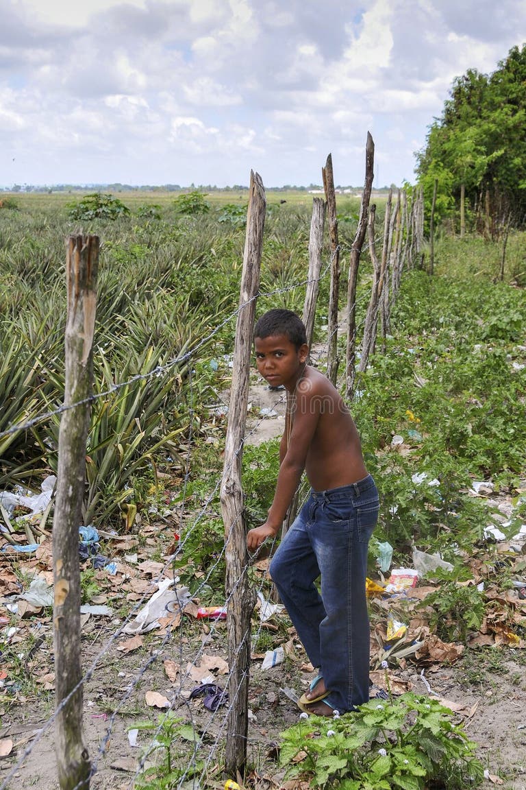 546 Poor Brazilian Boy Stock Photos - Free & Royalty-Free Stock Photos ...
