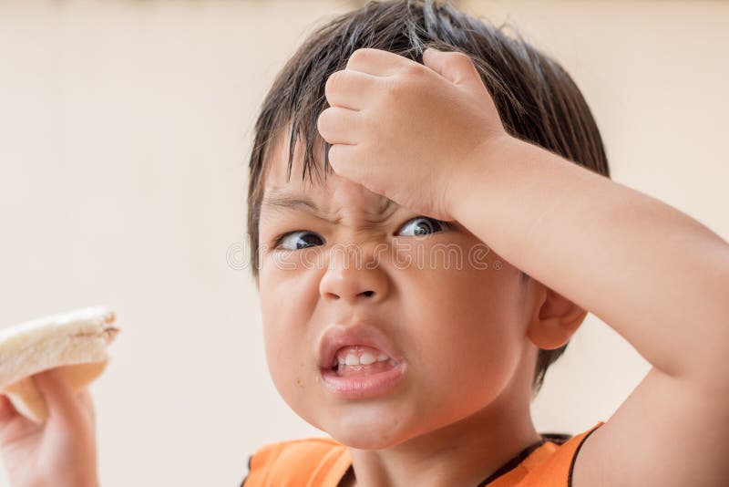 ANGRY DOG EATING. LABRADOR PUPPY ASKING for FOOD or PROTECTING ...