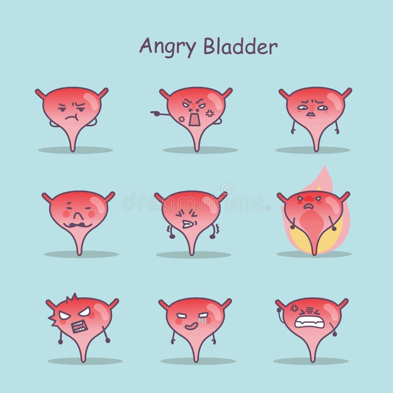Happy cartoon bladder stock vector. Illustration of examining - 83000662