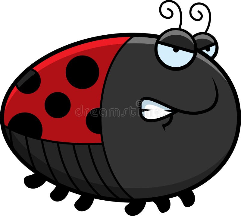 Angry Ladybug stock vector. Illustration of blame, insect - 14046150