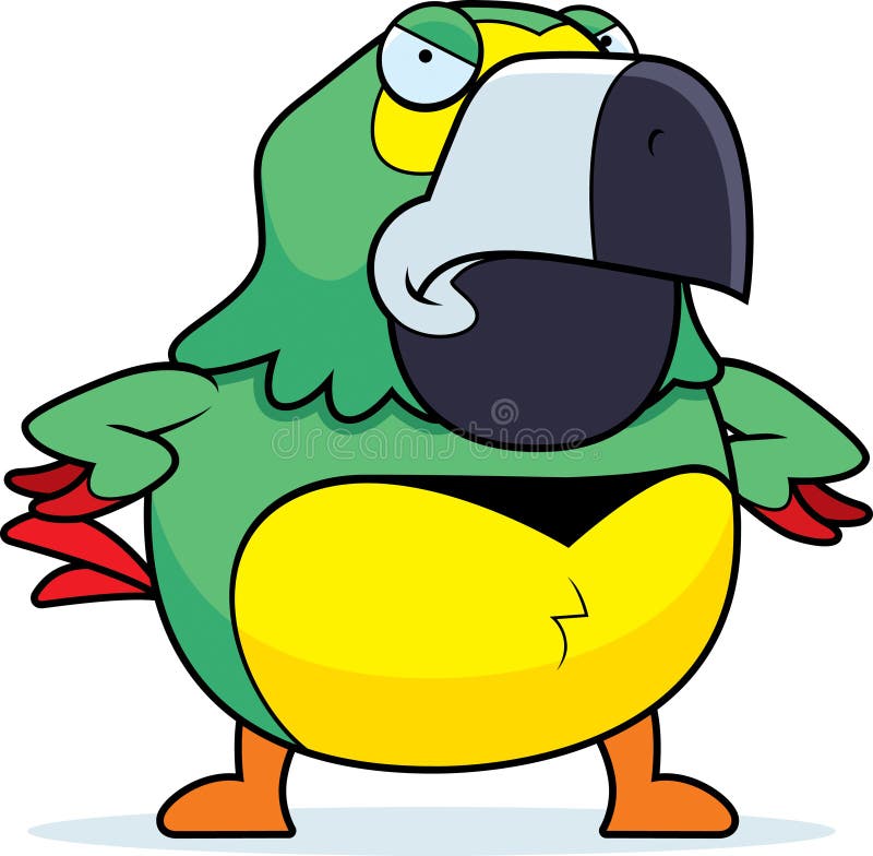 4+ Angry parrot Free Stock Photos - StockFreeImages