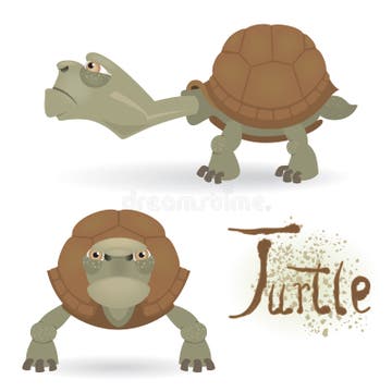 Cartoon Turtle Front Stock Illustrations – 575 Cartoon Turtle Front ...