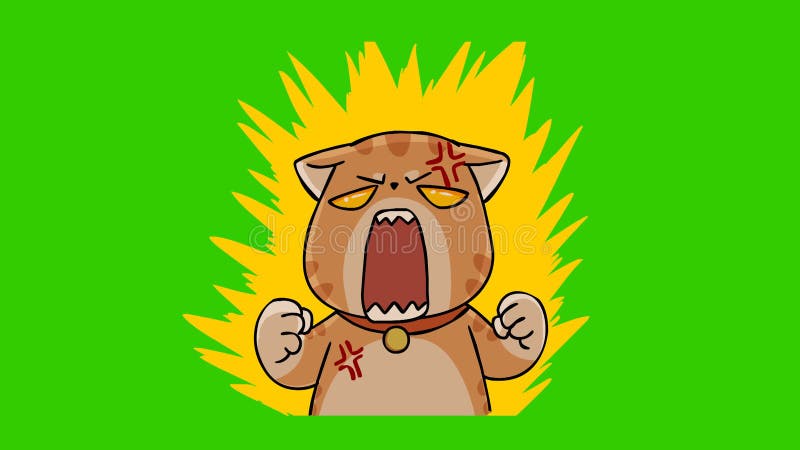 Animated Angry Cafe Cat Employee - Green Screen Stock Video - Video of ...