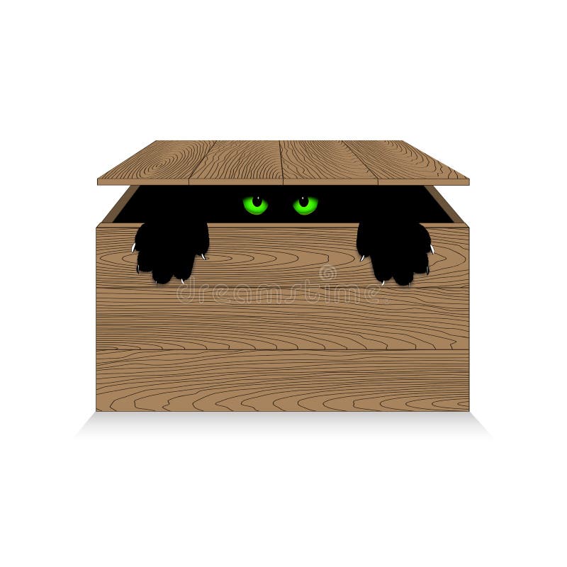 Angry cat in a wooden box stock vector. Illustration of predator - 77818013