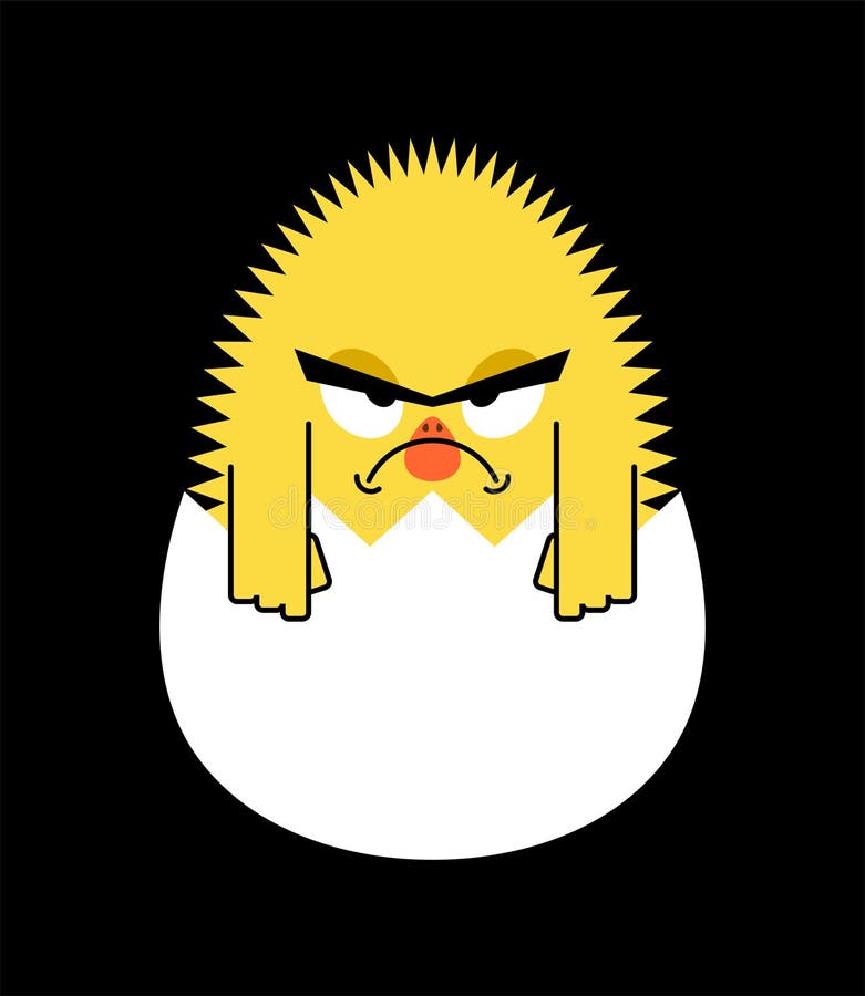 Angry Chick in Shell. Unhappy Little Chick Stock Vector - Illustration ...