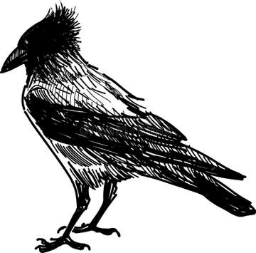 Angry Crow Stock Illustrations – 483 Angry Crow Stock Illustrations ...