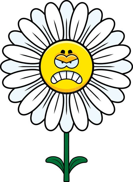 Angry Daisy stock vector. Illustration of leaf, stem - 47754488