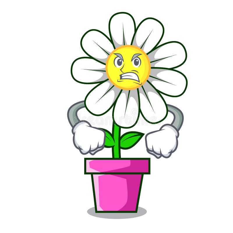 Angry Daisy Flower Mascot Cartoon Stock Vector - Illustration of anger ...