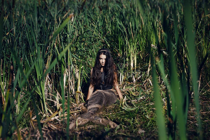 Mermaid on Paradise Island stock image. Image of fairytale - 20482647