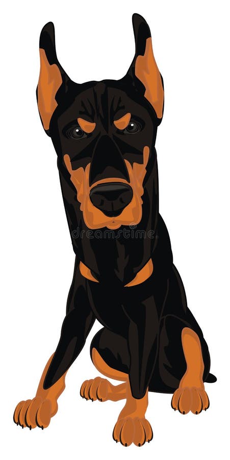 Angry Doberman Dog Stock Illustrations – 221 Angry Doberman Dog Stock ...