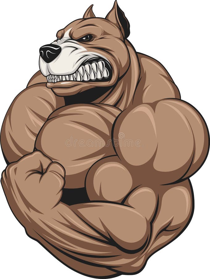 Angry dog stock vector. Illustration of bodybuilding - 51372238