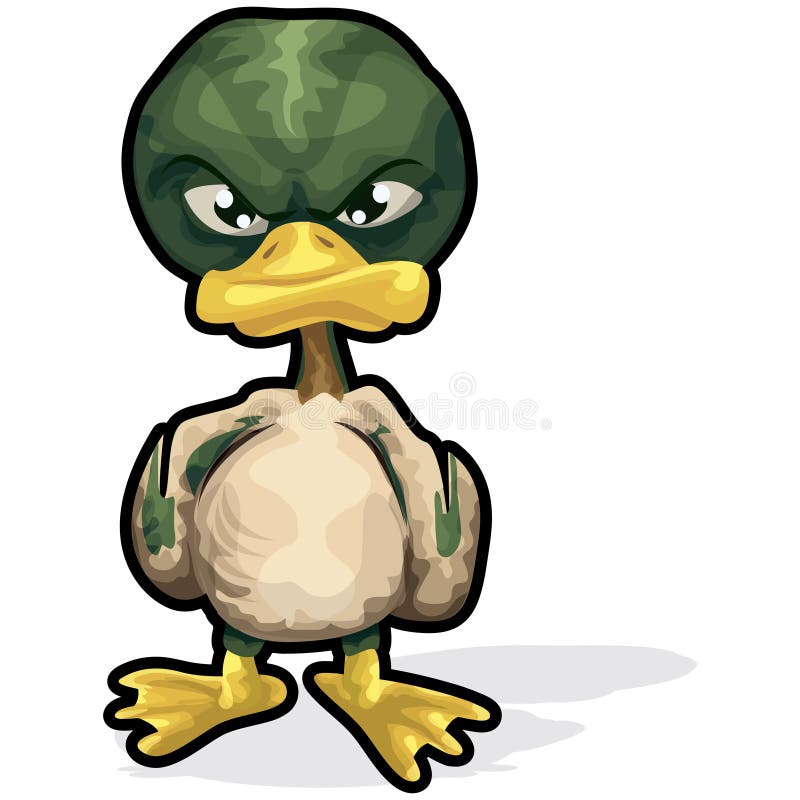 7+ Angry duck Free Stock Photos - StockFreeImages