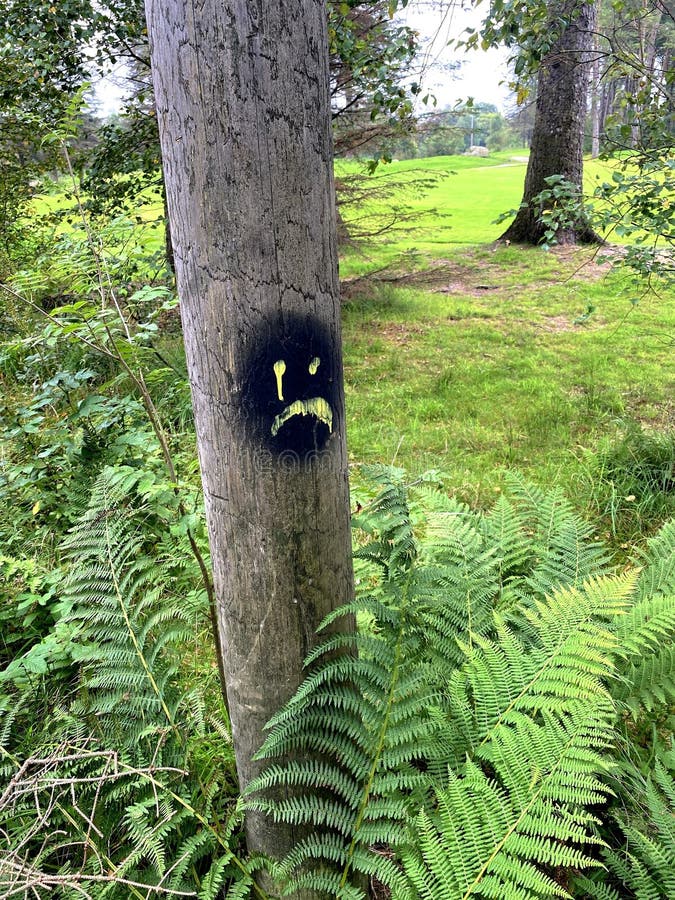 Angry face in the nature stock photo. Image of flower - 291225942