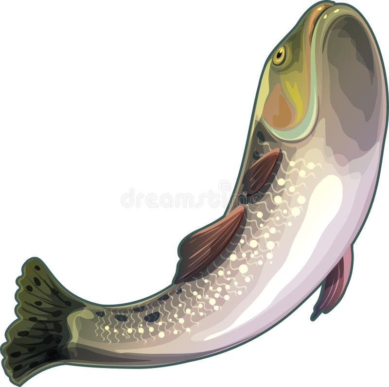 Angry Green Fish Catfish Stock Illustrations – 8 Angry Green Fish ...