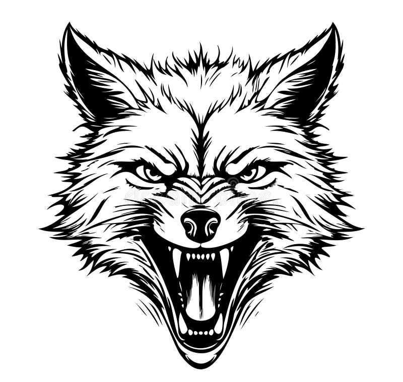 Angry Fox Sketch Hand Drawn Sketch Vector Illustration Stock Vector ...