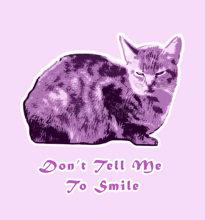 Angry Grumpy cat stock image. Image of alone, funny - 248212467