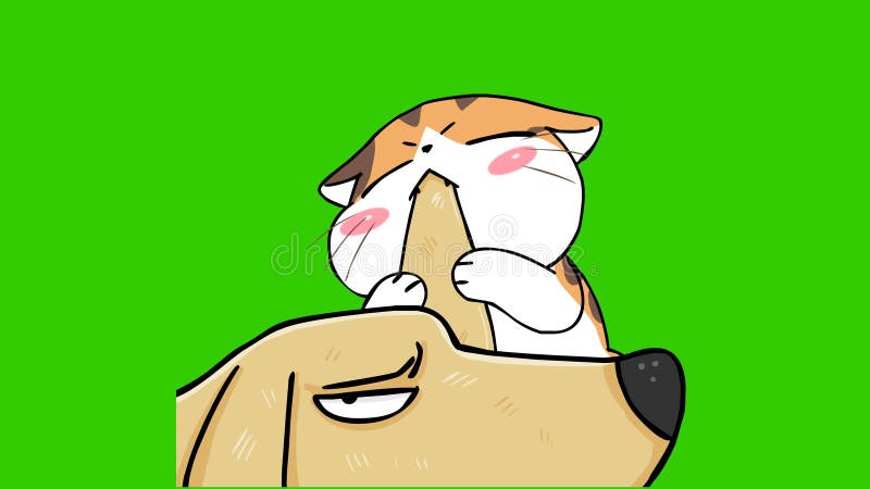 Angry Kitten Biting Dog - Animated on Green Screen Stock Video - Video ...