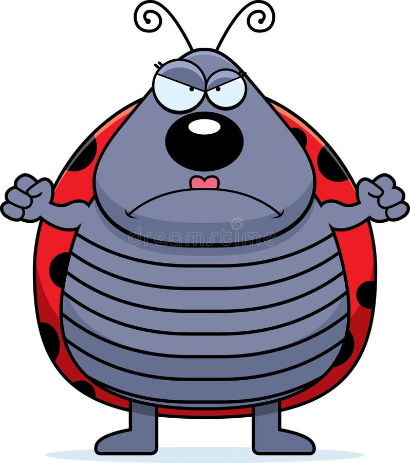 Angry Ladybug stock vector. Illustration of blame, insect - 14046150