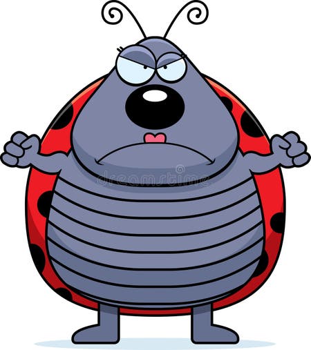 Angry Ladybug stock vector. Illustration of ladybug, angry - 14177606
