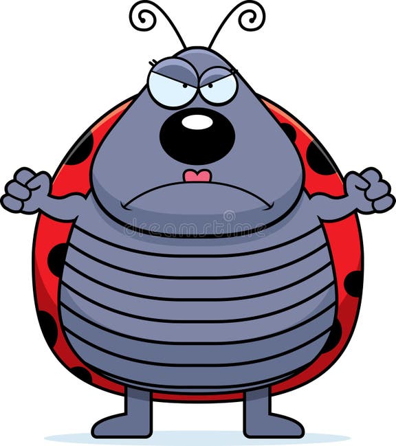 Angry Ladybug stock vector. Illustration of ladybug, angry - 14177606
