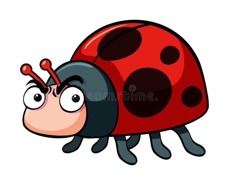 Angry Ladybug on White Background Stock Vector - Illustration of ...