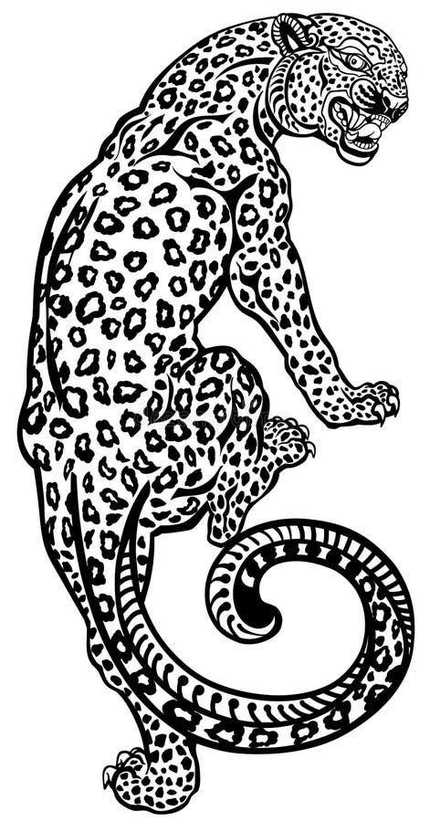 Angry Leopard Drawing