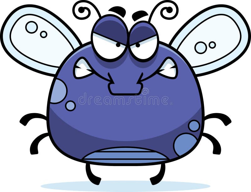 Angry Little Fly stock vector. Illustration of animal - 47089957