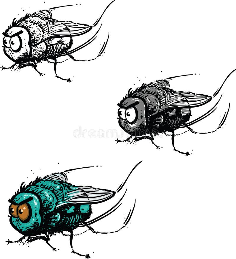 Angry little fly. stock vector. Illustration of white - 134500867