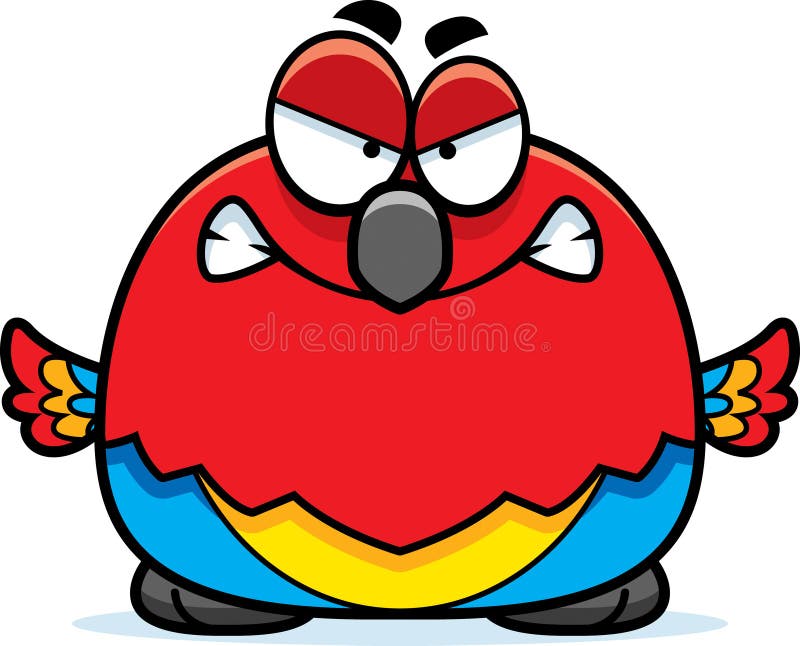 4+ Angry parrot Free Stock Photos - StockFreeImages