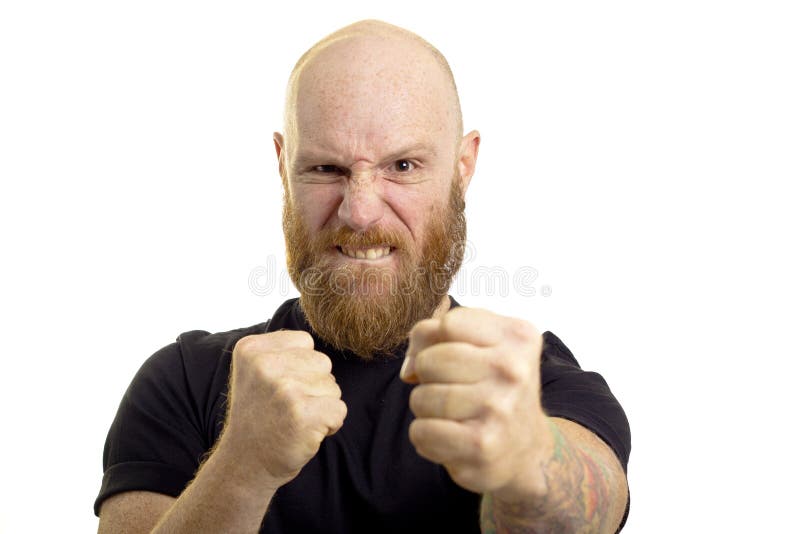 Silly Bald Man with Red Beard and Crossed Eyes Stock Photo - Image of ... Silly Bald Man with Red Beard and Crossed Eyes Stock Photo - Image of ...