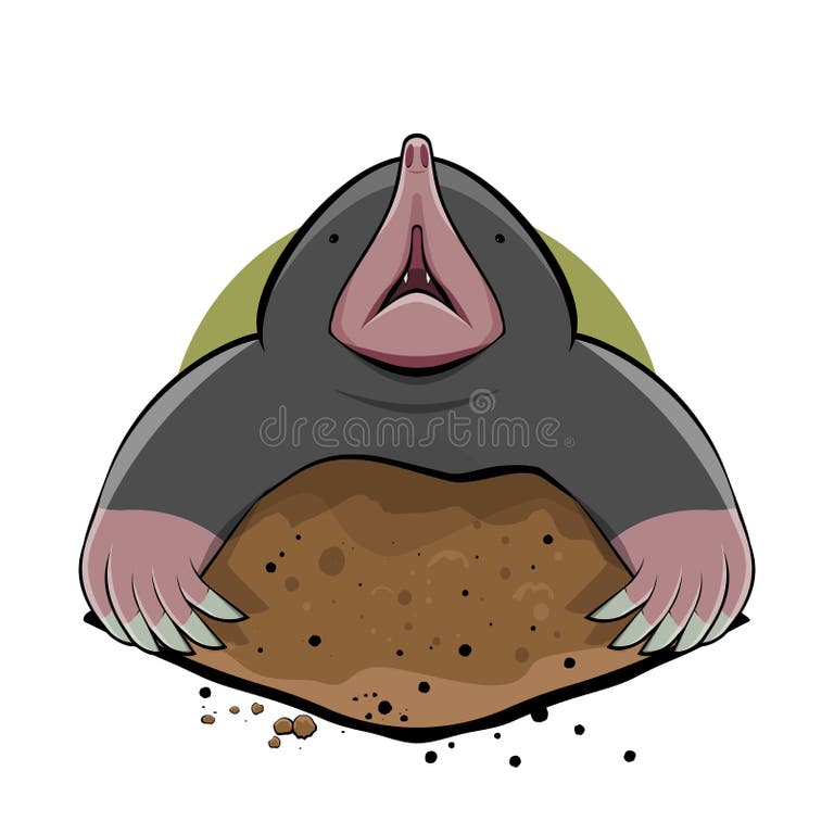 Cartoon Illustration of a Mole Stock Vector - Illustration of clipart ...