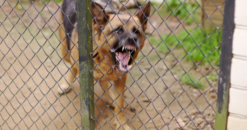 A Wet Angry Man Stands in a Blue-lit Shower, Steam Swirling Around Him ...