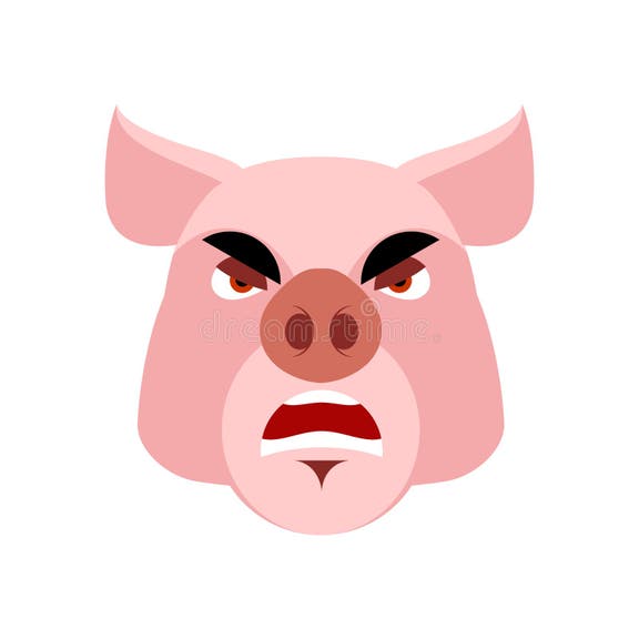 Angry Pig. Evil Boar. Grumpy Hog Stock Vector - Illustration of animal ...