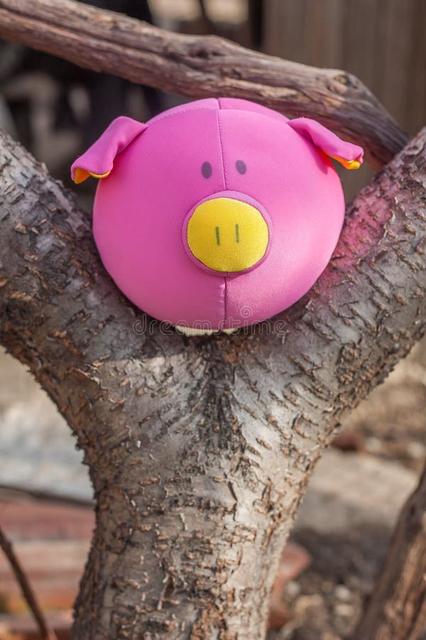 Angry pink pig stock photo. Image of outdoor, sling, plush - 49496016