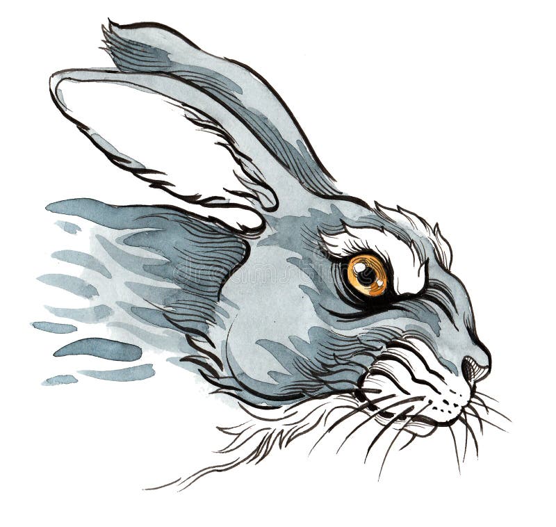 Angry rabbit stock illustration. Illustration of angry - 101072943