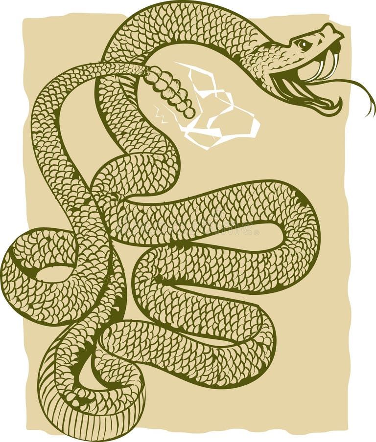 Angry Rattlesnake Stock Illustrations – 283 Angry Rattlesnake Stock ...