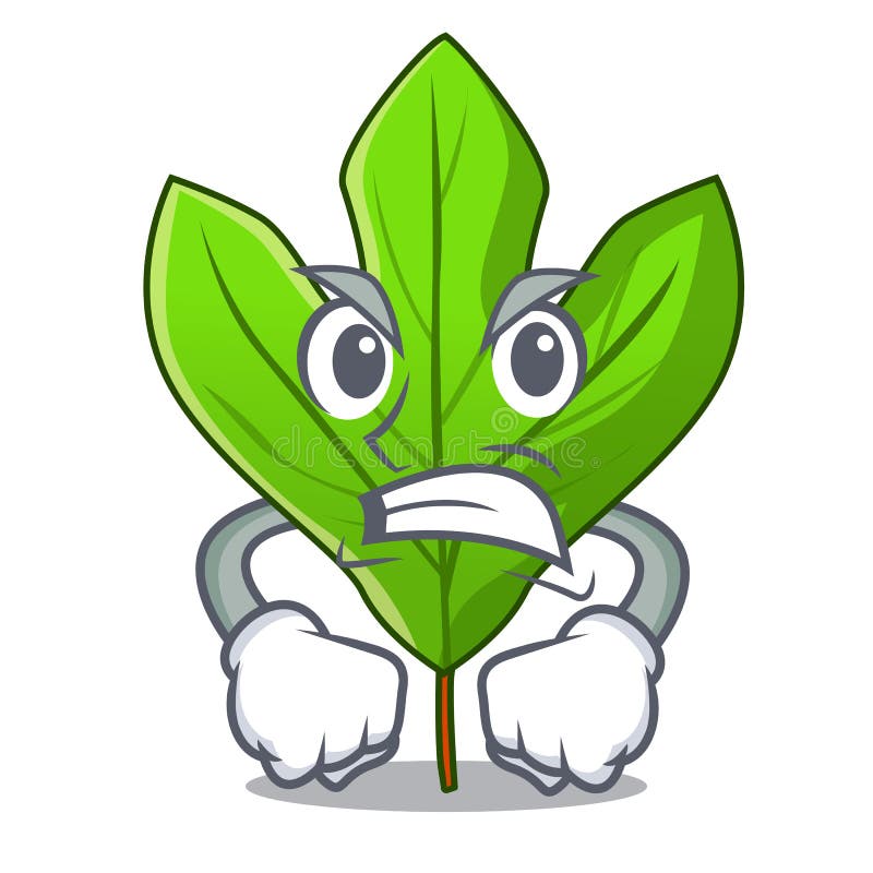 Angry Sassafras Leaf in the Mascot Pots Stock Vector - Illustration of ...
