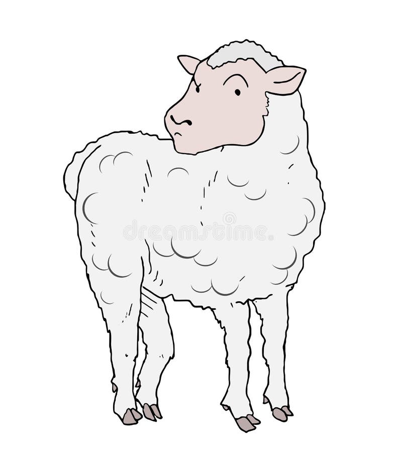 Angry Sheep , Vector or Color Illustration Stock Vector - Illustration ...