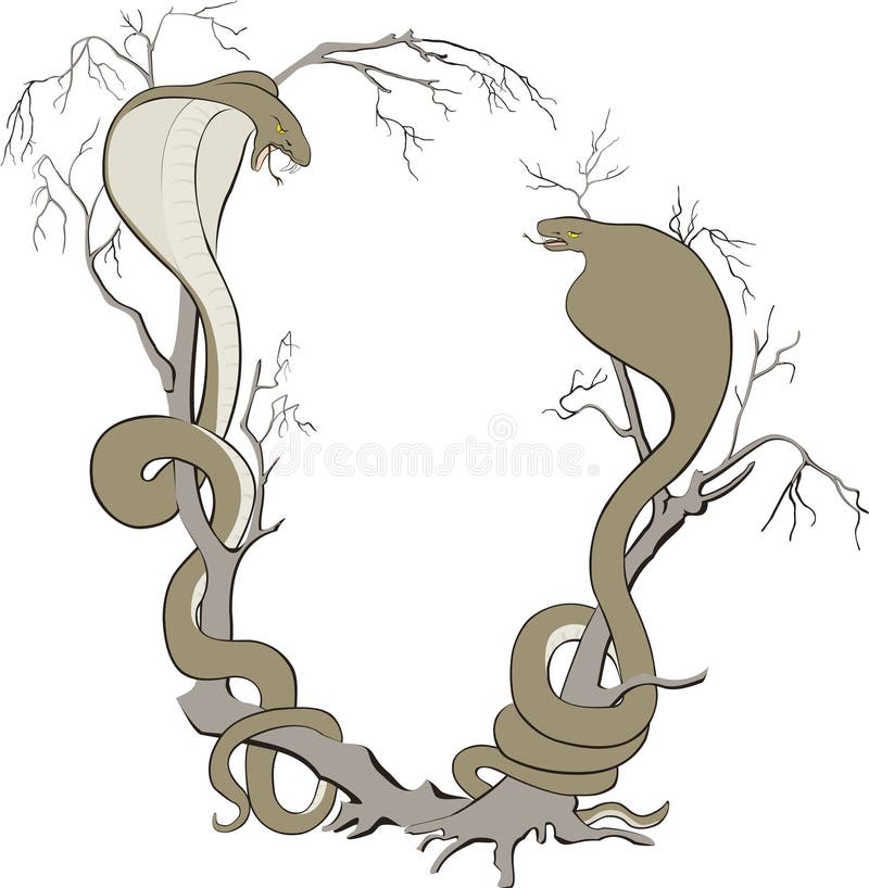 Angry snakes stock vector. Illustration of frame, cobra - 5813082