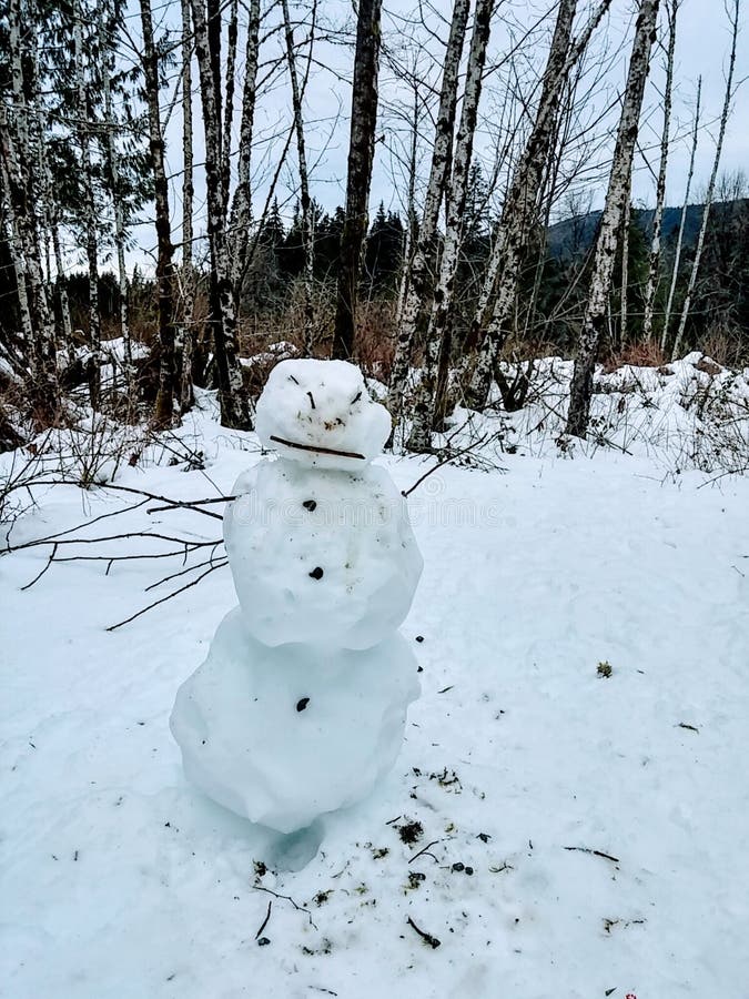 198 Angry Snowman Stock Photos - Free & Royalty-Free Stock Photos from ...