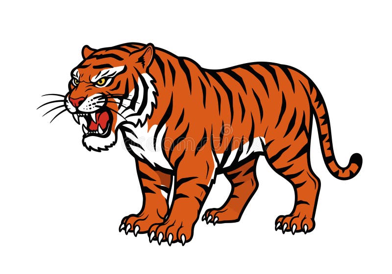 Angry tiger clipart stock vector. Illustration of claws - 364619259