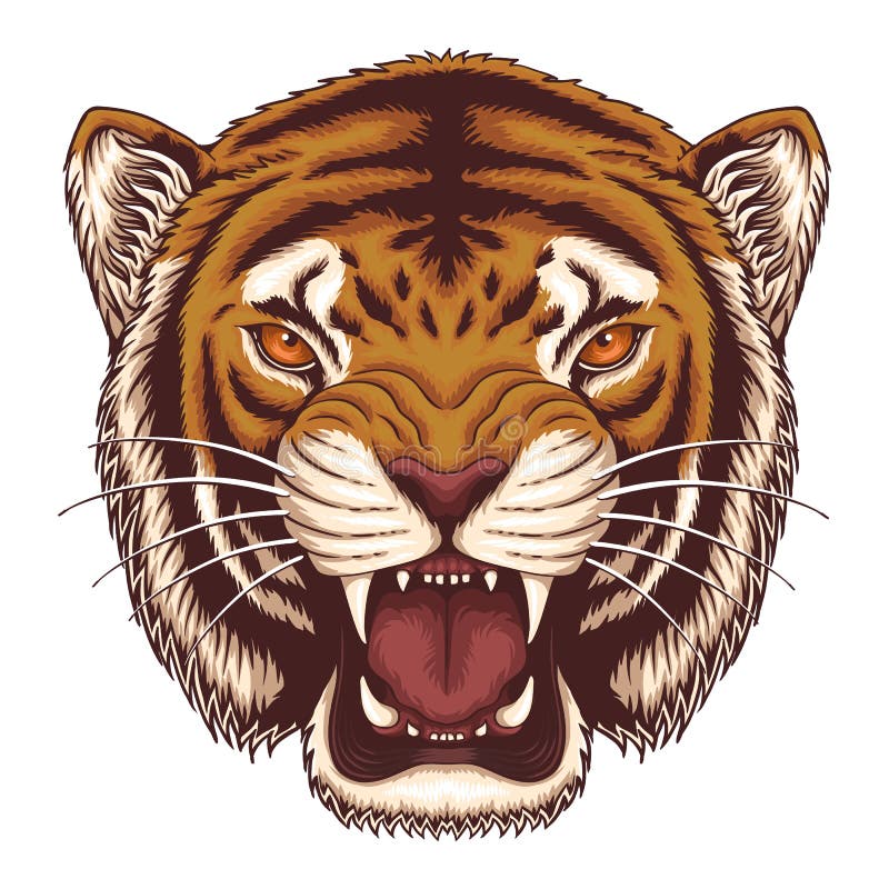 Tiger Head Illustration Amazing Design Vector Illustration Stock Vector ...