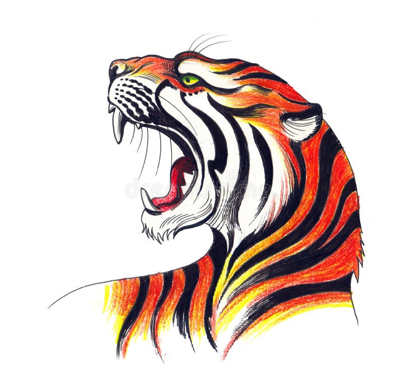 Angry tiger stock illustration. Illustration of sketch - 91575461