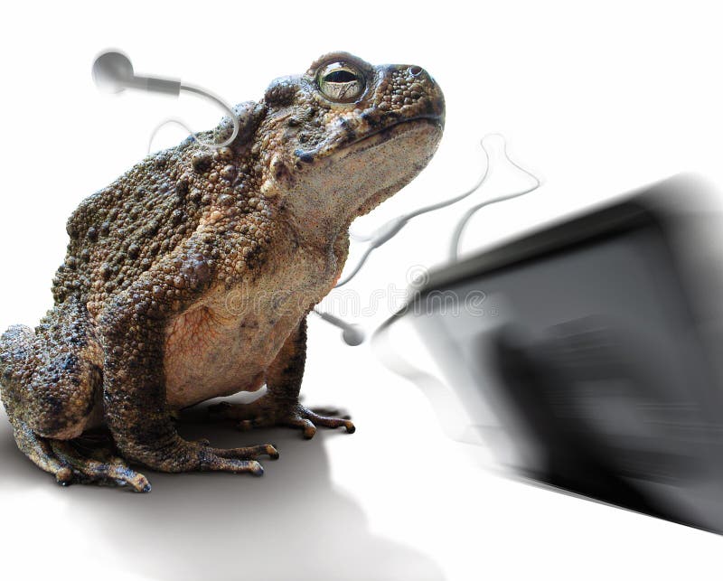 Angry Toad stock image. Image of player, sound, song, music - 3159073