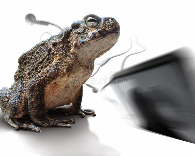 Angry Toad stock image. Image of isolated, electronic - 3159073
